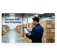 China Reliable Canada DDP Sea Shipping With Truck / Local Courier Door Delivery for sale