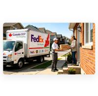 China Reliable Canada DDP Sea Shipping With Truck / Local Courier Door Delivery for sale