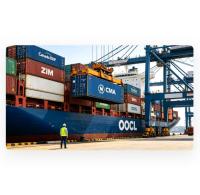 China Sea Freight Shipping To Canada DDP Service For Cosmetics / Liquids / Powders / Chemicals for sale
