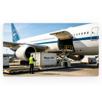 China Satety DDP Air Freight Shipping to Mexico For Cosmetic Liquid Powder / Chemical Goods for sale