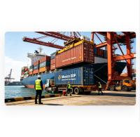 China General Goods Shipping to Mexico DDP Sea Freight Customs Clearance for sale