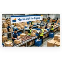 China Delivery Duty Paid DDP Sea Shipping to Mexico For Cosmetics / Liquid / Powder / Chemicals for sale