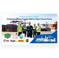 China DDP Sea Shipping to France For Battery Magnetic Cosmetic Liquid Powder Chemical for sale