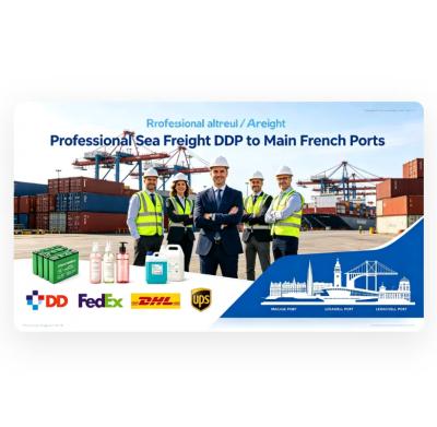 China DDP Sea Shipping to France For Battery Magnetic Cosmetic Liquid Powder Chemical for sale