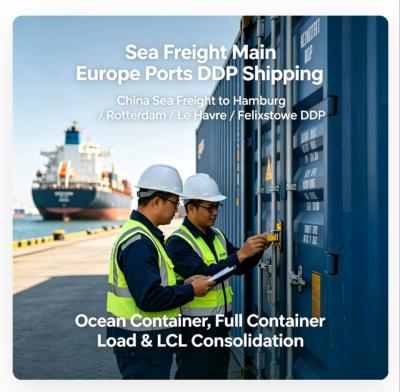 China DDP Logistics Sea Transport Service For Battery Magnetic Chemical for sale