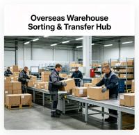 China Special Goods Rail Transport Service , DDP Delivered Duty Paid Shipping to DE for sale