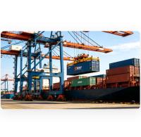 China Sea Freight DDP Shipping to New Zealand For Battery / Magnetic Goods for sale