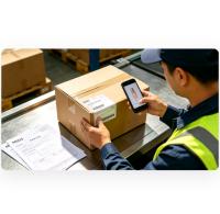 China DDP Logistics Sea Shipping to New Zealand For Efficient Cosmetic Shipping for sale