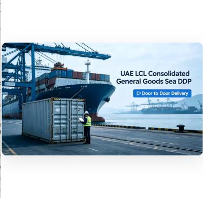 China Sea DDP Door To Door Shipping To UAE LCL Consolidated For General Goods for sale
