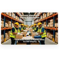 China Sea Freight DDP Shipping to Saudi Arabia For Batteries / Magnetic Goods for sale