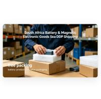 China Sea DDP Shipping to South Africa For Battery / Magnetic Electronic Goods for sale