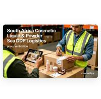 China South Africa Cosmetic Liquid / Powder DDP Sea Freight Logistics Service for sale
