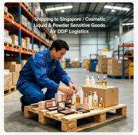 China DDP Logistics Shipping to Singapore For Liquid / Powder Sensitive Goods for sale