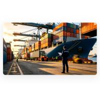 China LCL Shipping To Vietnam Consolidated Sea Freight With DDP Door To Door Delivery  , for sale