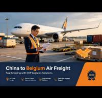 China China to Belgium DDP Shipping and Logistics Service for Seamless Deliveries for sale