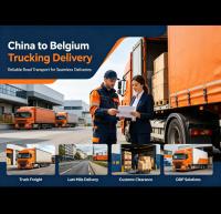 China China to Belgium DDP Shipping and Logistics Service for Seamless Deliveries for sale