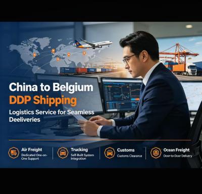 China China to Belgium DDP Shipping and Logistics Service for Seamless Deliveries for sale