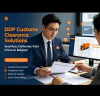 China China to Belgium DDP Shipping and Logistics Service for Seamless Deliveries for sale