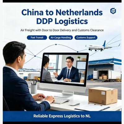 China China to Netherlands DDP Logistics with Door to Door Delivery and Customs Clearance for sale