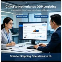 China China to Netherlands DDP Logistics with Door to Door Delivery and Customs Clearance for sale