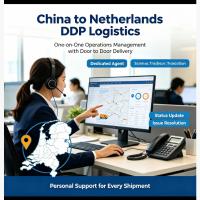 China China to Netherlands DDP Logistics with Door to Door Delivery and Customs Clearance for sale