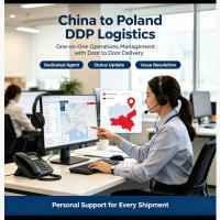 China China to Poland DDP Logistics with Door to Door Delivery and Customs Clearance for sale