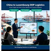 China China to Luxembourg DDP Logistics with Door to Door Delivery and Customs Clearance for sale