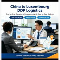 China China to Luxembourg DDP Logistics with Door to Door Delivery and Customs Clearance for sale