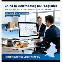 China China to Luxembourg DDP Logistics with Door to Door Delivery and Customs Clearance for sale