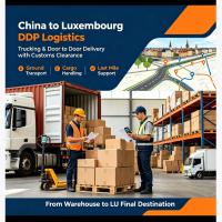 China China to Luxembourg DDP Logistics with Door to Door Delivery and Customs Clearance for sale