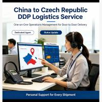 China China to Czech Republic DDP Logistics Service for Door to Door Delivery for sale