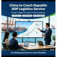 China China to Czech Republic DDP Logistics Service for Door to Door Delivery for sale