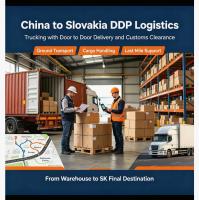 China China to Slovakia DDP Logistics with Door to Door Delivery and Customs Clearance for sale