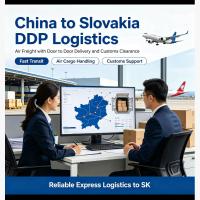 China China to Slovakia DDP Logistics with Door to Door Delivery and Customs Clearance for sale