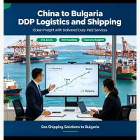 China China to Bulgaria DDP Logistics and Shipping with Delivered Duty Paid Services for sale