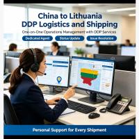 China China to Lithuania DDP Logistics and Shipping with Delivered Duty Paid Services for sale