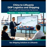 China China to Lithuania DDP Logistics and Shipping with Delivered Duty Paid Services for sale