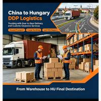 China China to Hungary DDP Logistics with Door to Door Delivery and Customs Clearance Services for sale