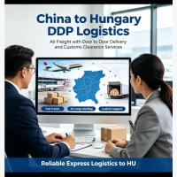 China China to Hungary DDP Logistics with Door to Door Delivery and Customs Clearance Services for sale