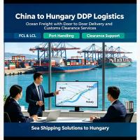China China to Hungary DDP Logistics with Door to Door Delivery and Customs Clearance Services for sale
