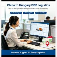 China China to Hungary DDP Logistics with Door to Door Delivery and Customs Clearance Services for sale