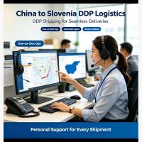 China China to Slovenia DDP Logistics and DDP Shipping for Seamless Deliveries for sale