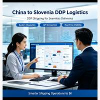 China China to Slovenia DDP Logistics and DDP Shipping for Seamless Deliveries for sale