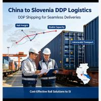 China China to Slovenia DDP Logistics and DDP Shipping for Seamless Deliveries for sale