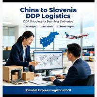 China China to Slovenia DDP Logistics and DDP Shipping for Seamless Deliveries for sale