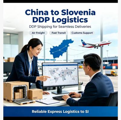 China China to Slovenia DDP Logistics and DDP Shipping for Seamless Deliveries for sale