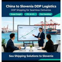 China China to Slovenia DDP Logistics and DDP Shipping for Seamless Deliveries for sale