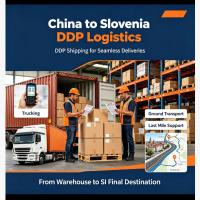 China China to Slovenia DDP Logistics and DDP Shipping for Seamless Deliveries for sale
