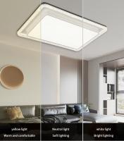 China 6000K LED Ceiling Lamp Anti Rust Iron Chassis for Home Commercial Space for sale