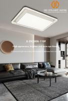 China 6000K LED Ceiling Lamp Anti Rust Iron Chassis for Home Commercial Space for sale